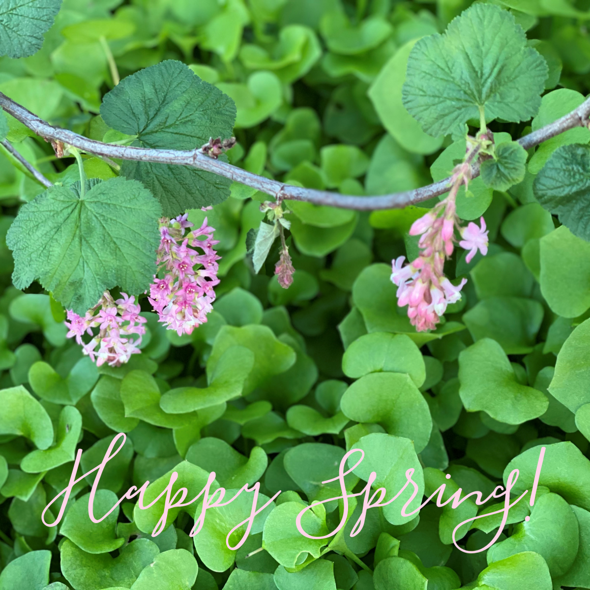 Happy Spring! – A WORLD 2 CELEBRATE